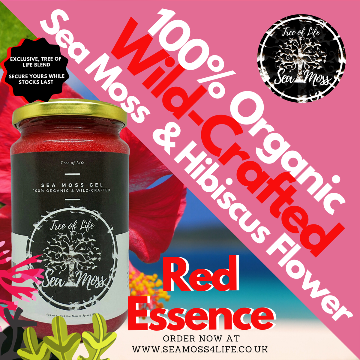 Red Essence Sea Moss Gel – Organic Superfood Infused with Red Hibiscus ...